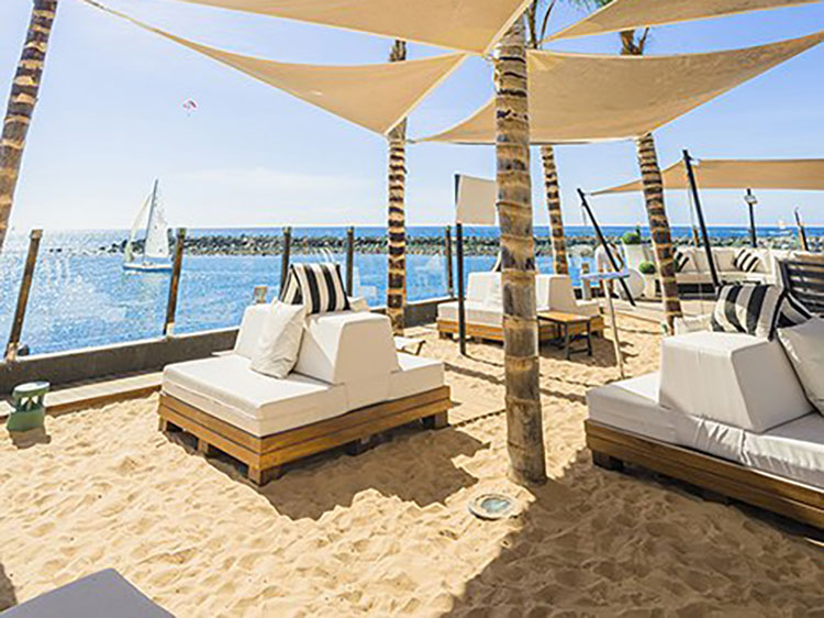 Una excursión a Anfi Beach Club - Entrevista con Gavin Brown